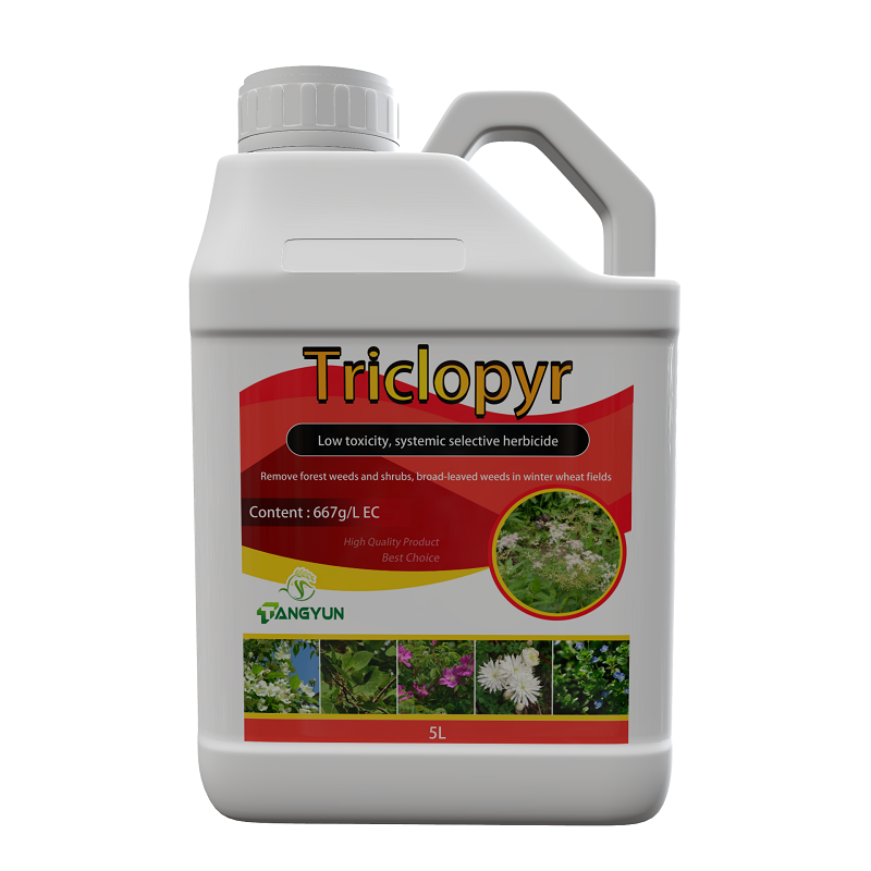 Triclopyr